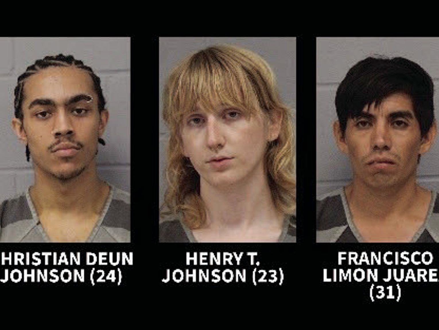 DPS arrests nine during weekend protest in Austin