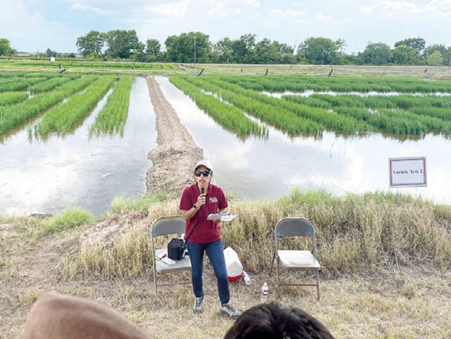 Eagle Lake Rice Field Day set for June 24