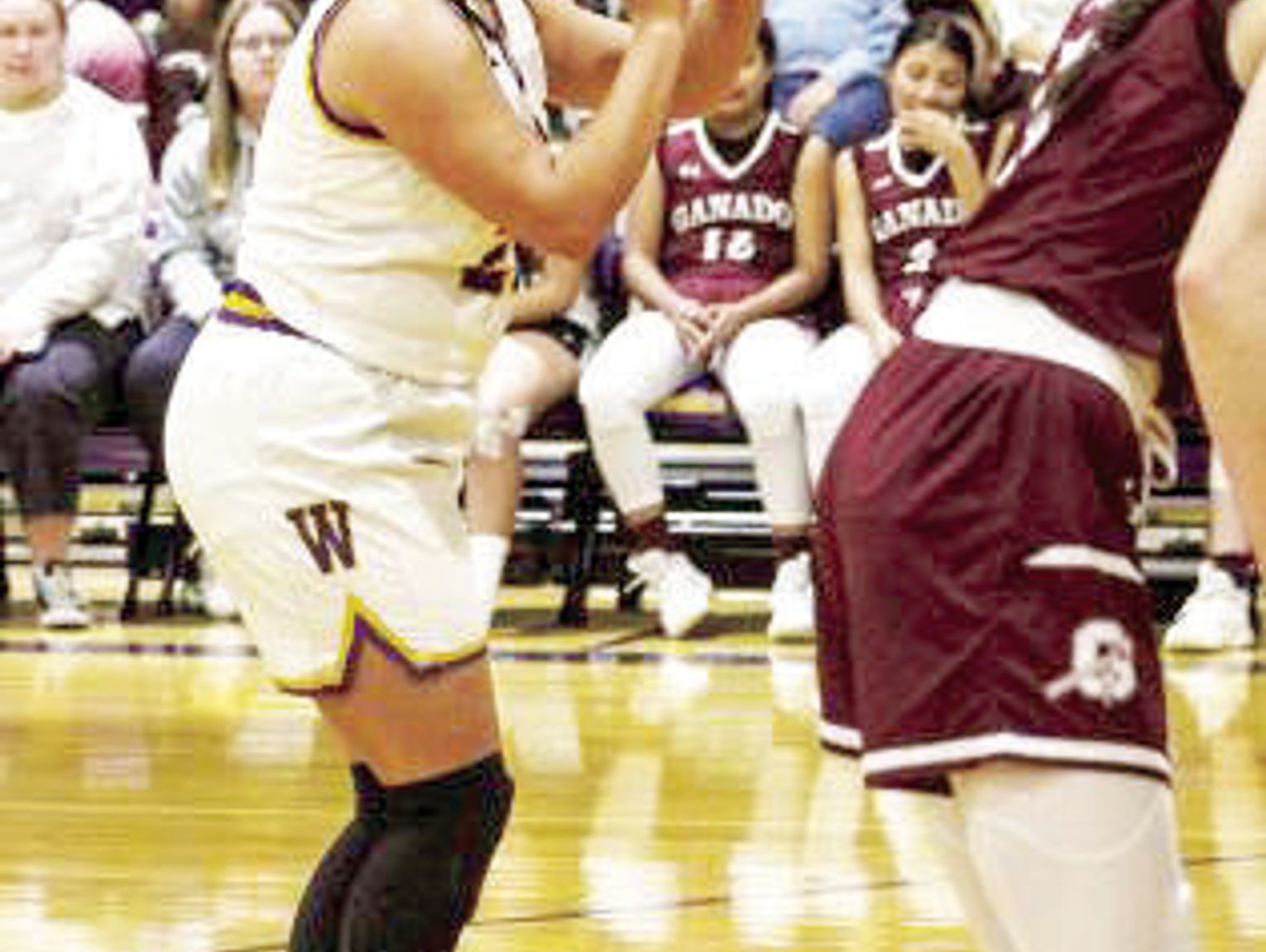 Ladycats sink Pirates 61-14