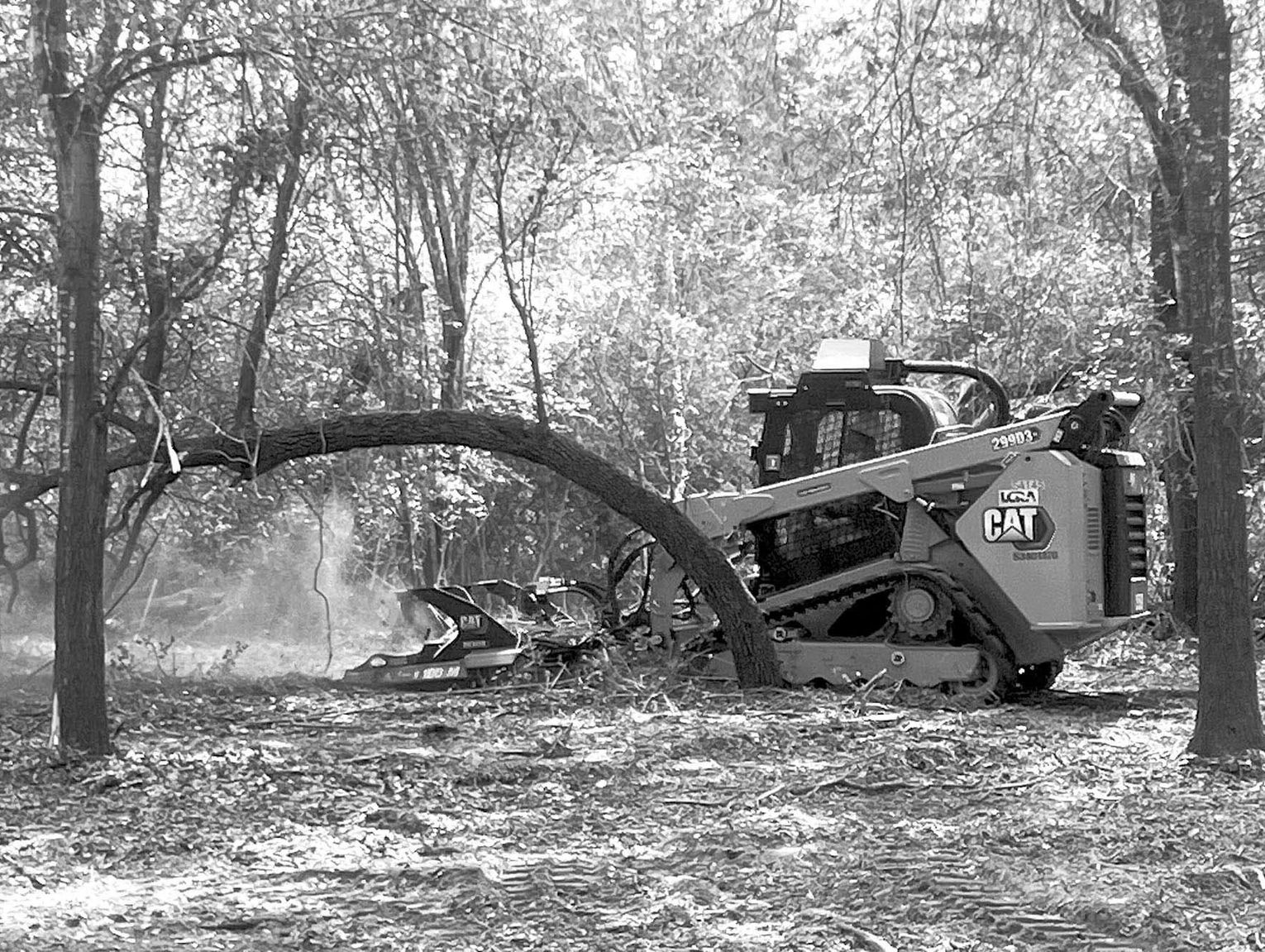 LCRA’S STEPS FORWARD DAY