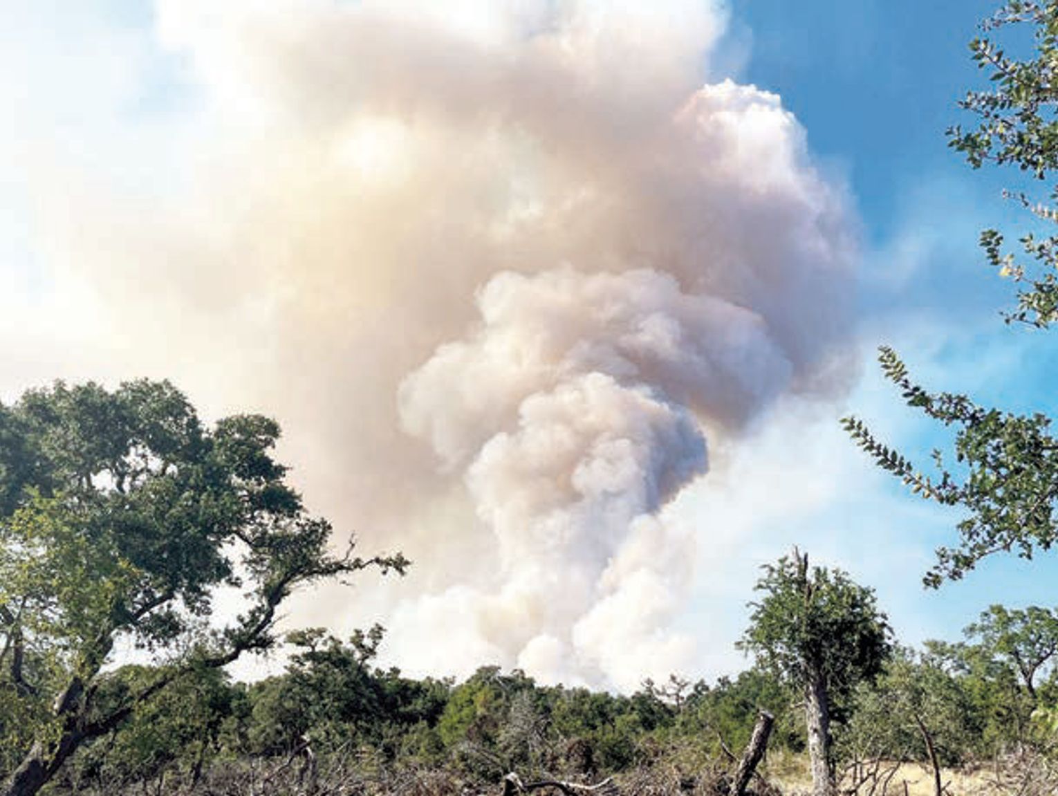 State Wildfire Preparedness Level raised, high fire danger forecast